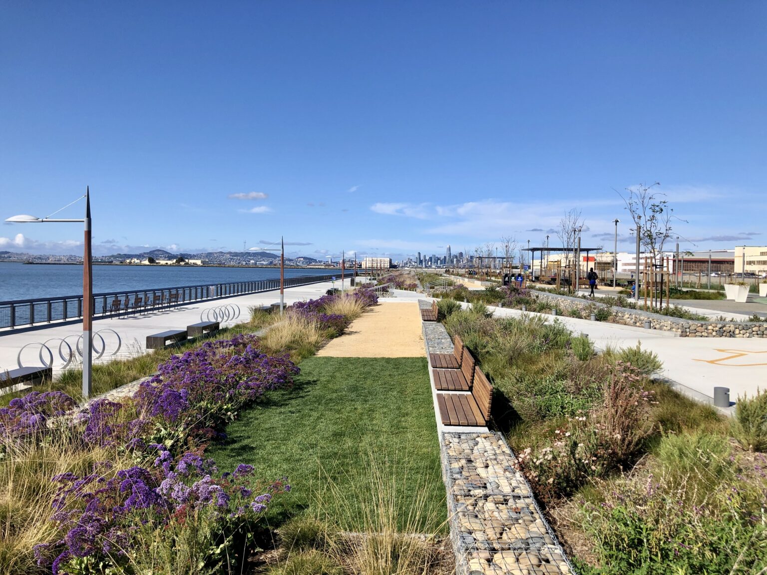 What we do | SF Bay Conservation & Development