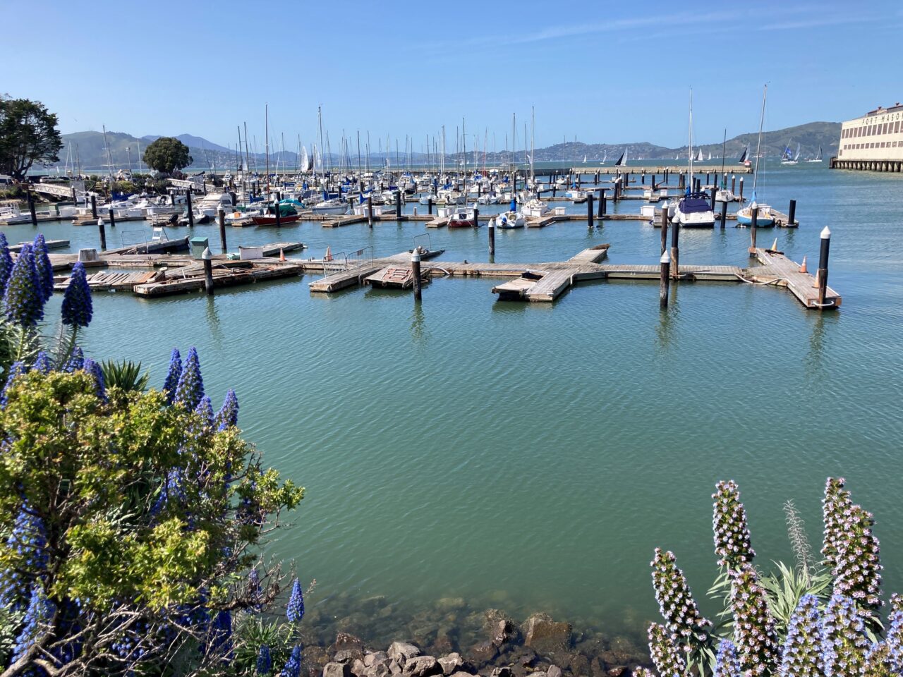 What we do | SF Bay Conservation & Development