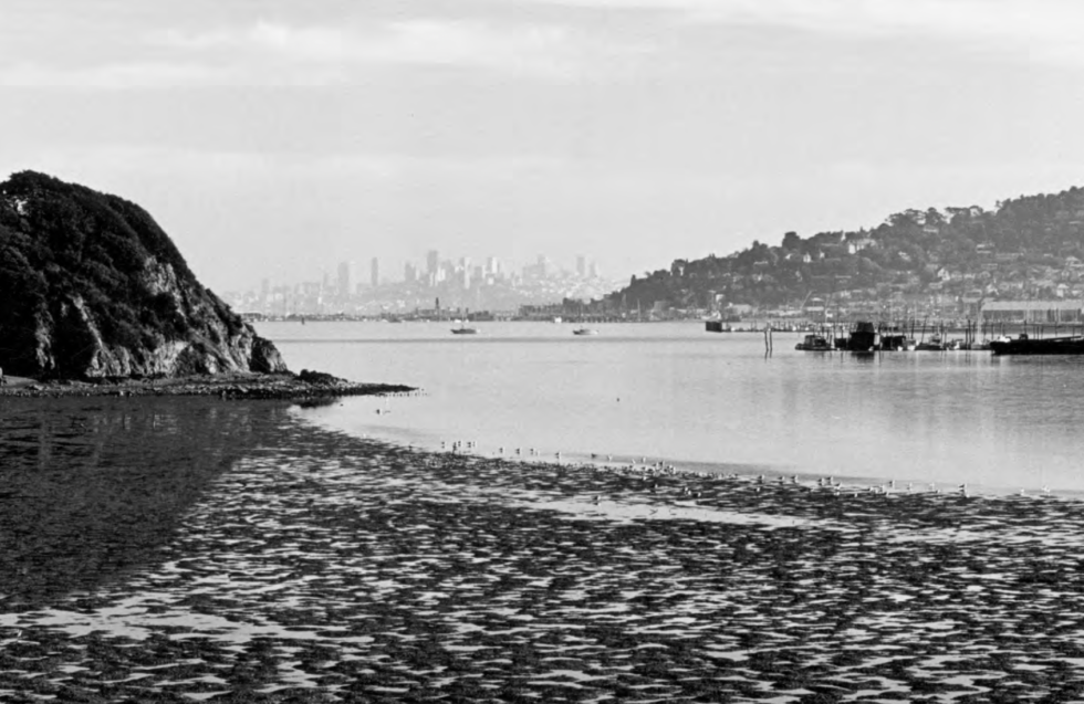 San Francisco Bay Plan | SF Bay Conservation & Development