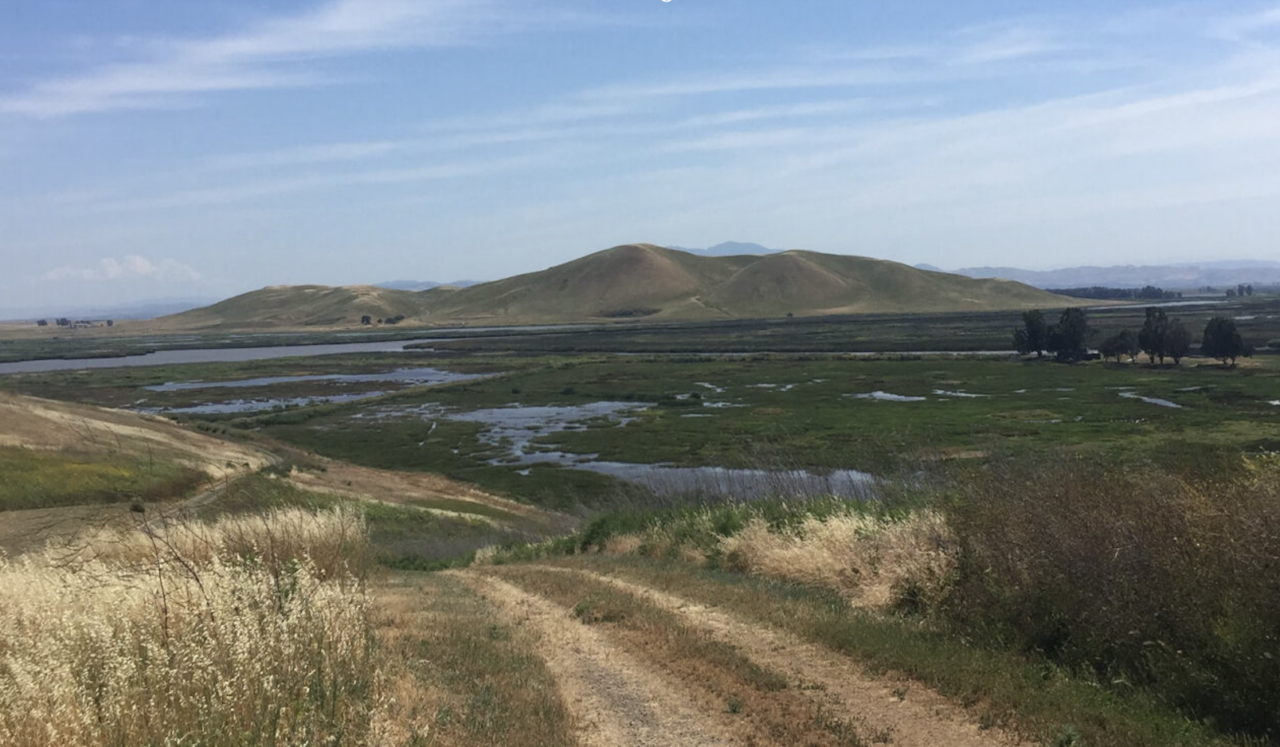 What we do | SF Bay Conservation & Development